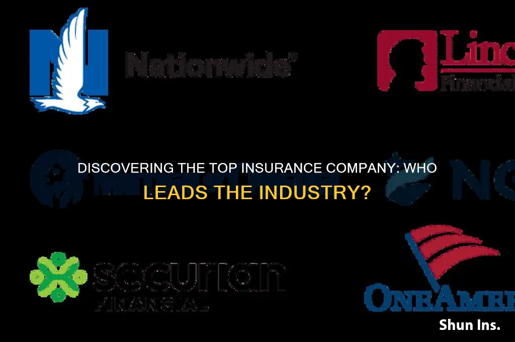 Discovering The Top Insurance Company: Who Leads The Industry? | ShunIns