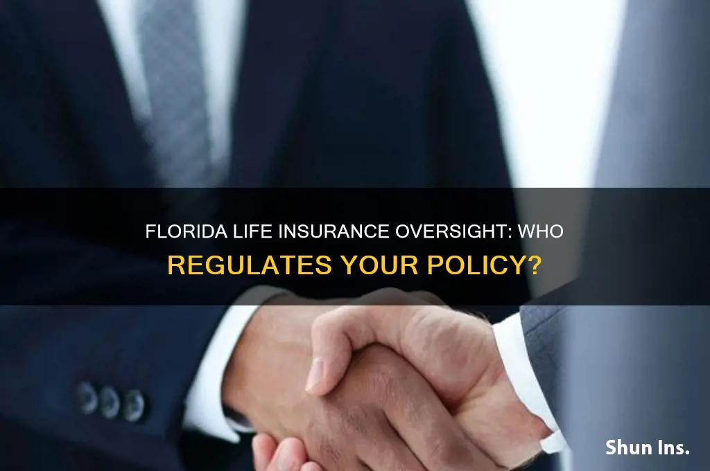Florida Life Insurance Oversight: Who Regulates Your Policy? | ShunIns