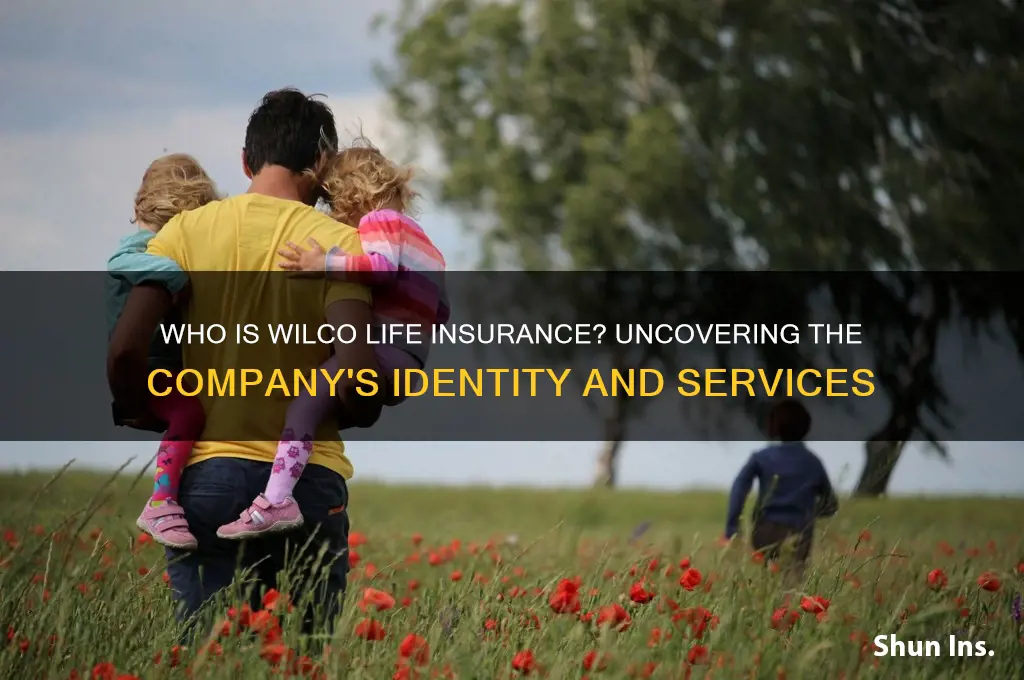 Who Is Wilco Life Insurance? Uncovering The Company's Identity And ...