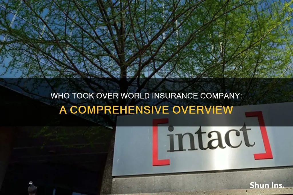 Who Took Over World Insurance Company: A Comprehensive Overview | ShunIns