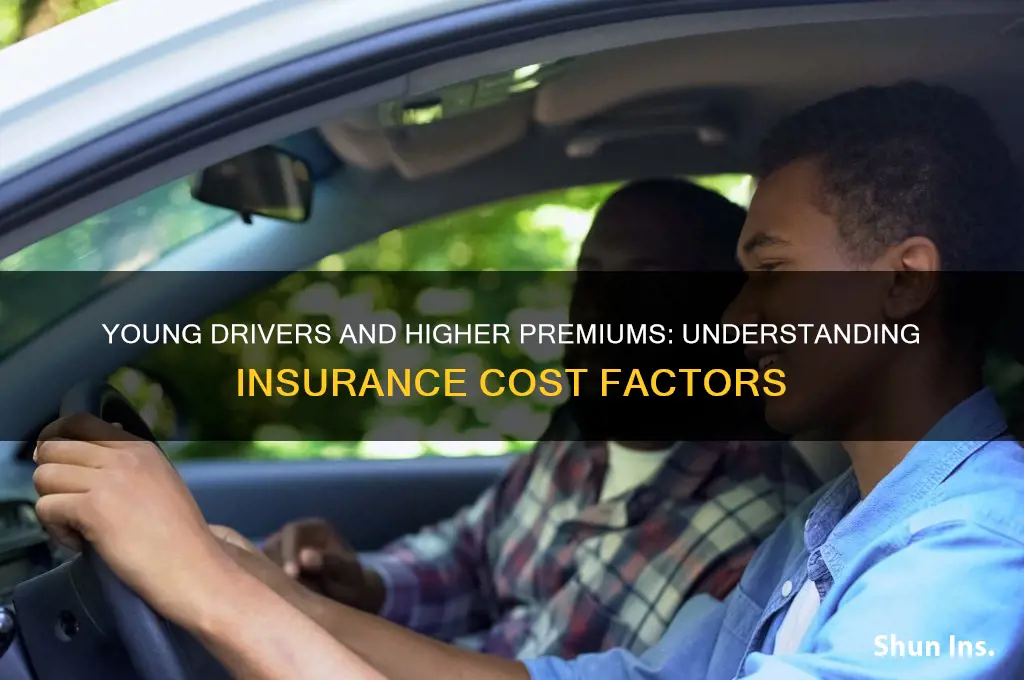 Young Drivers And Higher Premiums: Understanding Insurance Cost Factors ...