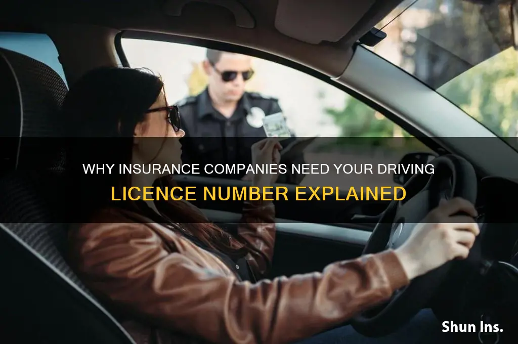 Why Insurance Companies Need Your Driving Licence Number Explained ...