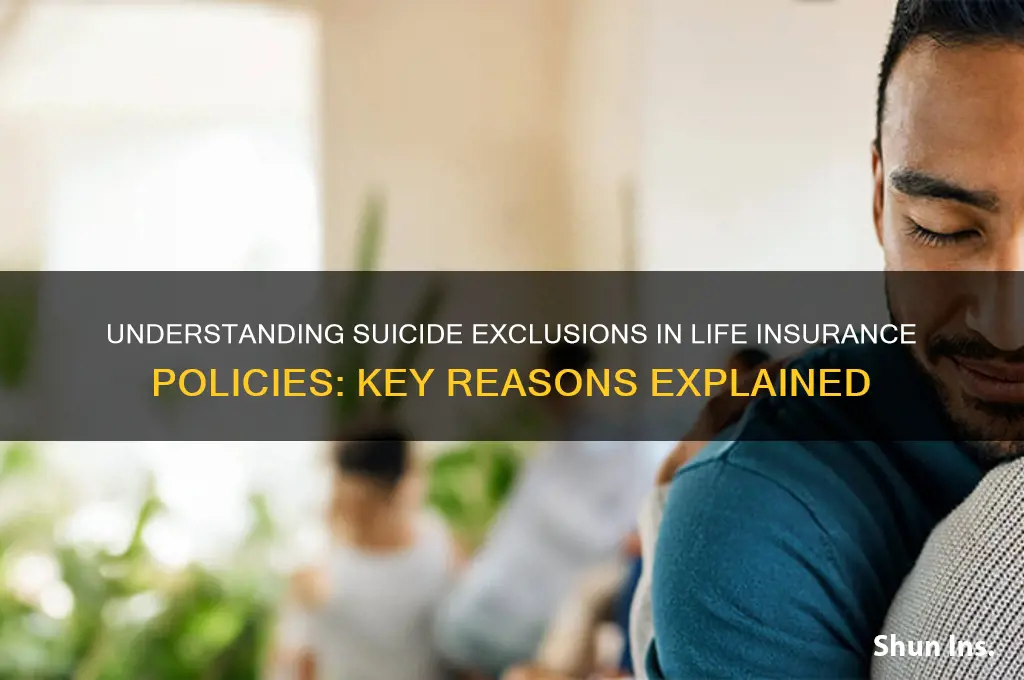 Understanding Suicide Exclusions In Life Insurance Policies: Key ...