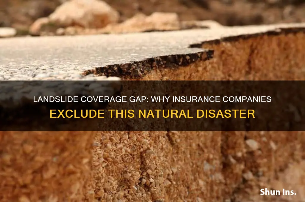 Landslide Coverage Gap: Why Insurance Companies Exclude This Natural ...