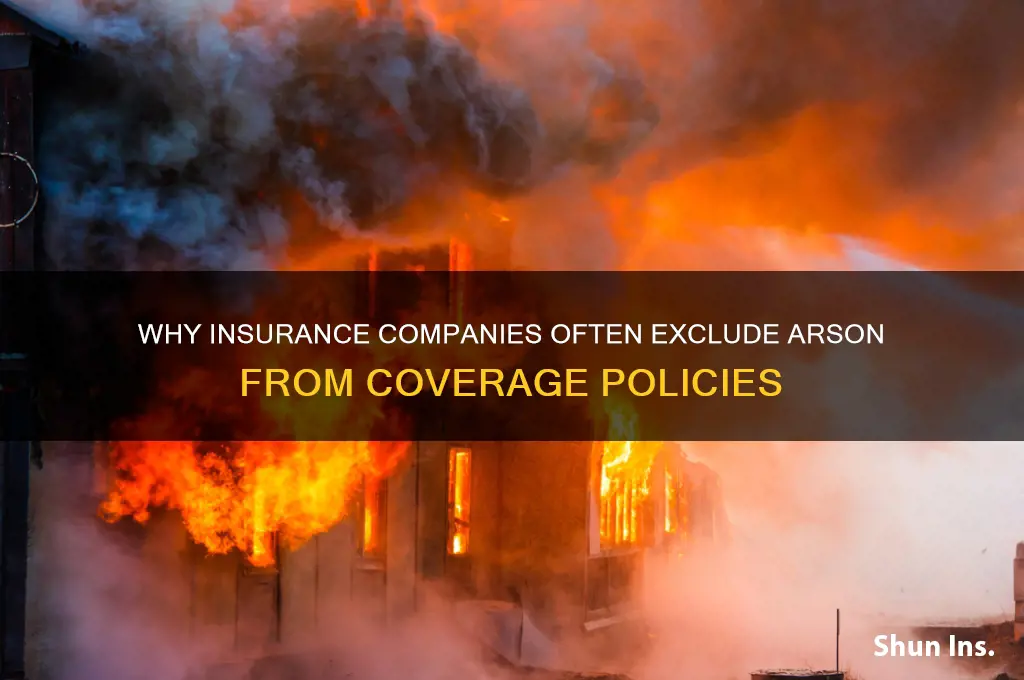 Why Insurance Companies Often Exclude Arson From Coverage Policies ...