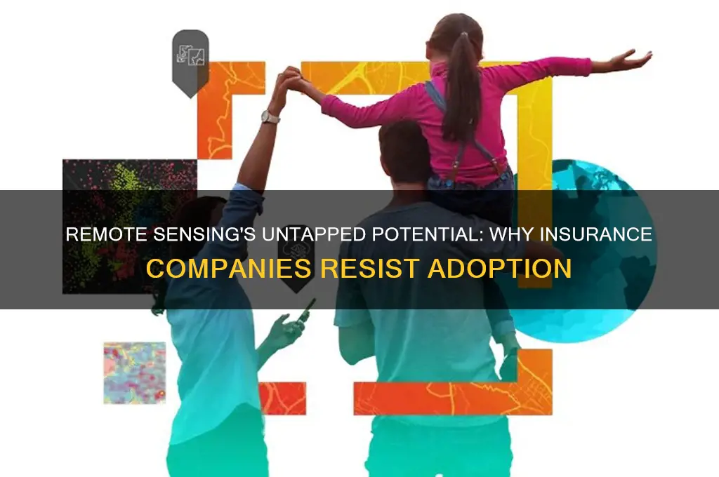 Remote Sensing's Untapped Potential: Why Insurance Companies Resist ...