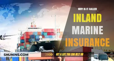 Understanding The Significance Of Loss Date In Insurance | ShunIns