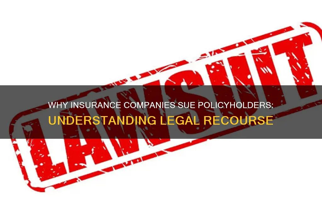 Why Insurance Companies Sue Policyholders: Understanding Legal Recourse ...