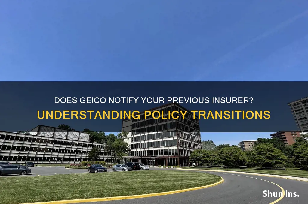 Does Geico Notify Your Previous Insurer? Understanding Policy ...