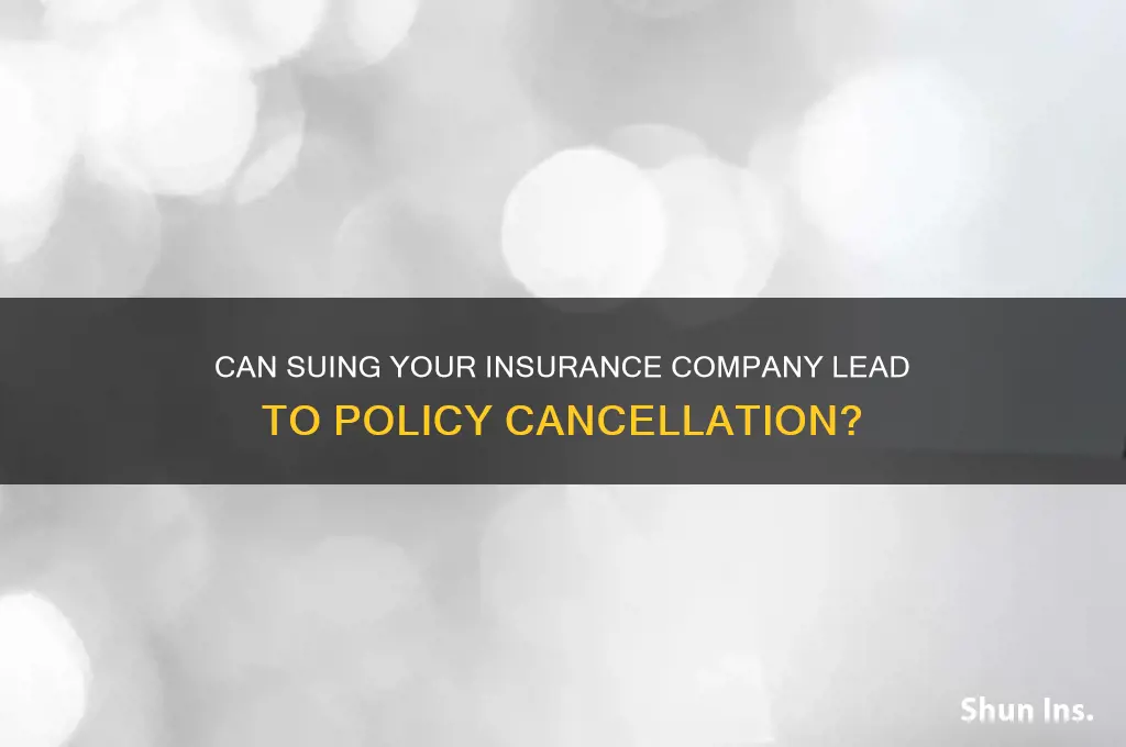 Can Suing Your Insurance Company Lead To Policy Cancellation? | ShunIns